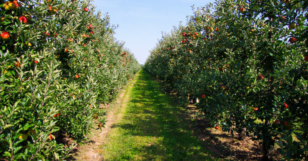 How to align your content strategy with your company’s needs (podcast) - Scriptorium